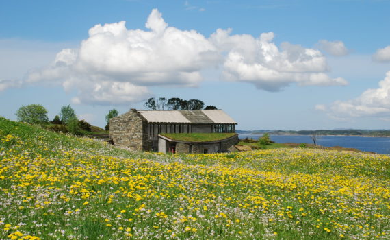 Maud – Lyngheisenteret på Lygra – Biologipraksis UiB